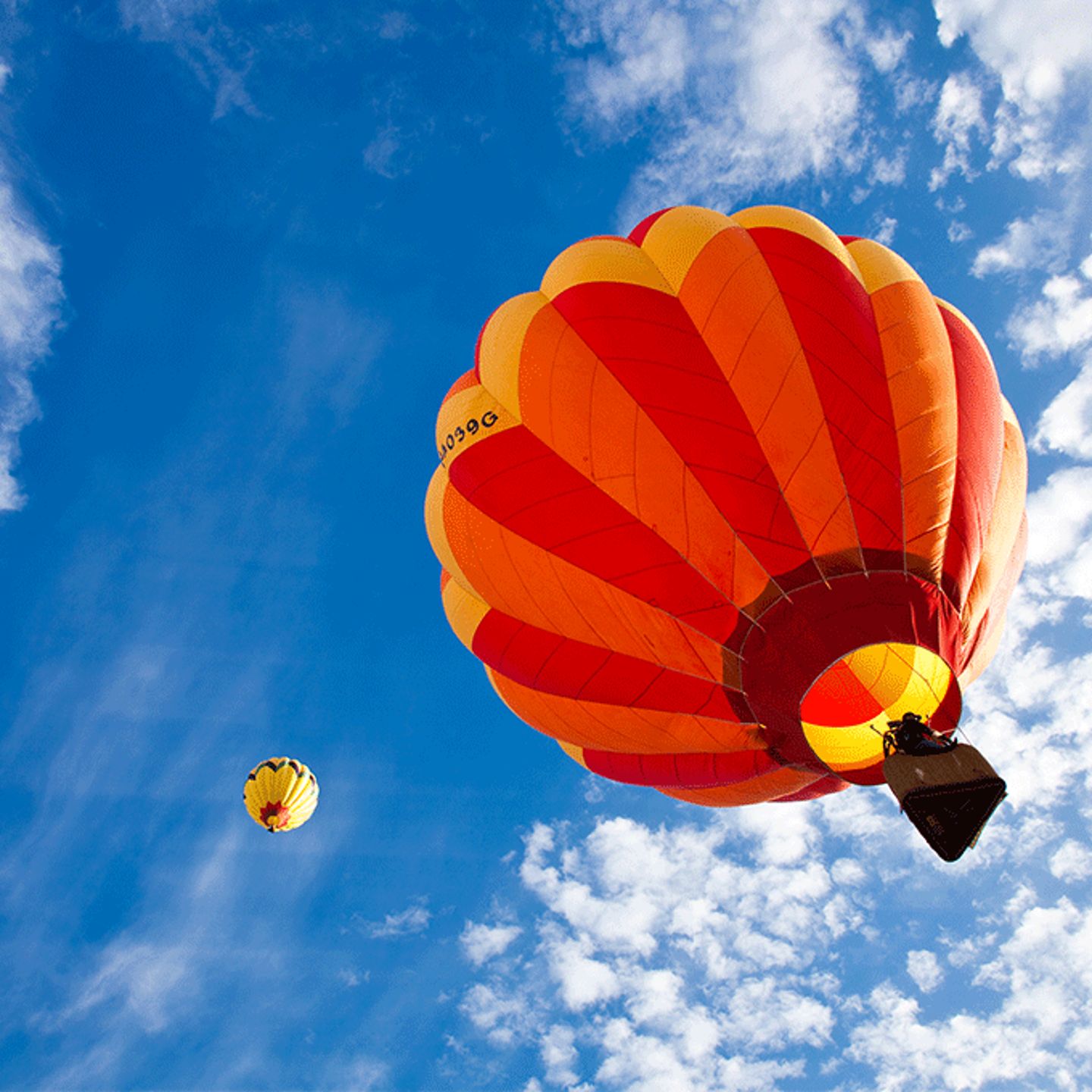 Hot Air Balloon Rides & Tours Near Washington DC | Virgin Gifts