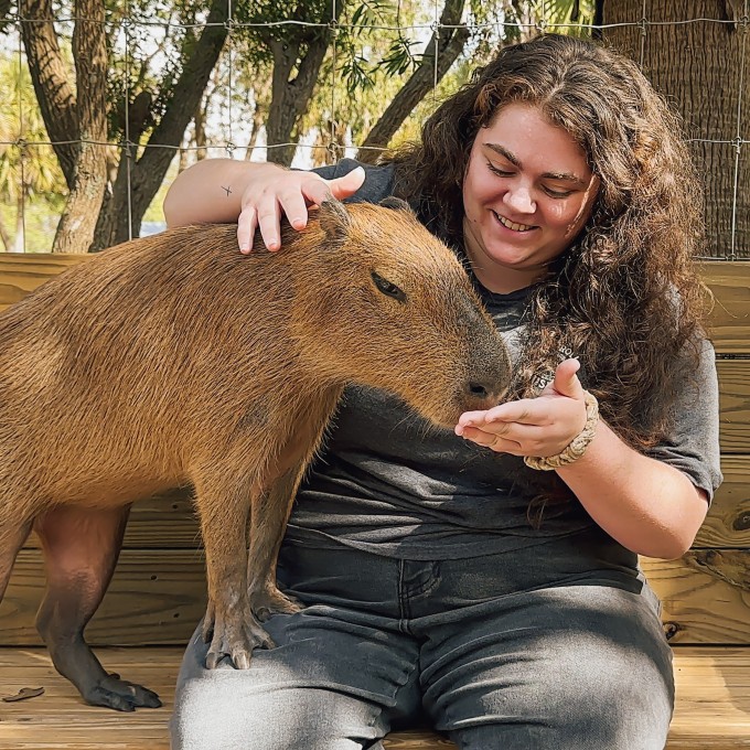 Capybara Encounter at the Wild Florida Gator Park in Kenansville, FL ...