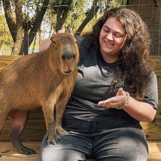 Capybara Encounter at the Wild Florida Gator Park in Kenansville, FL ...