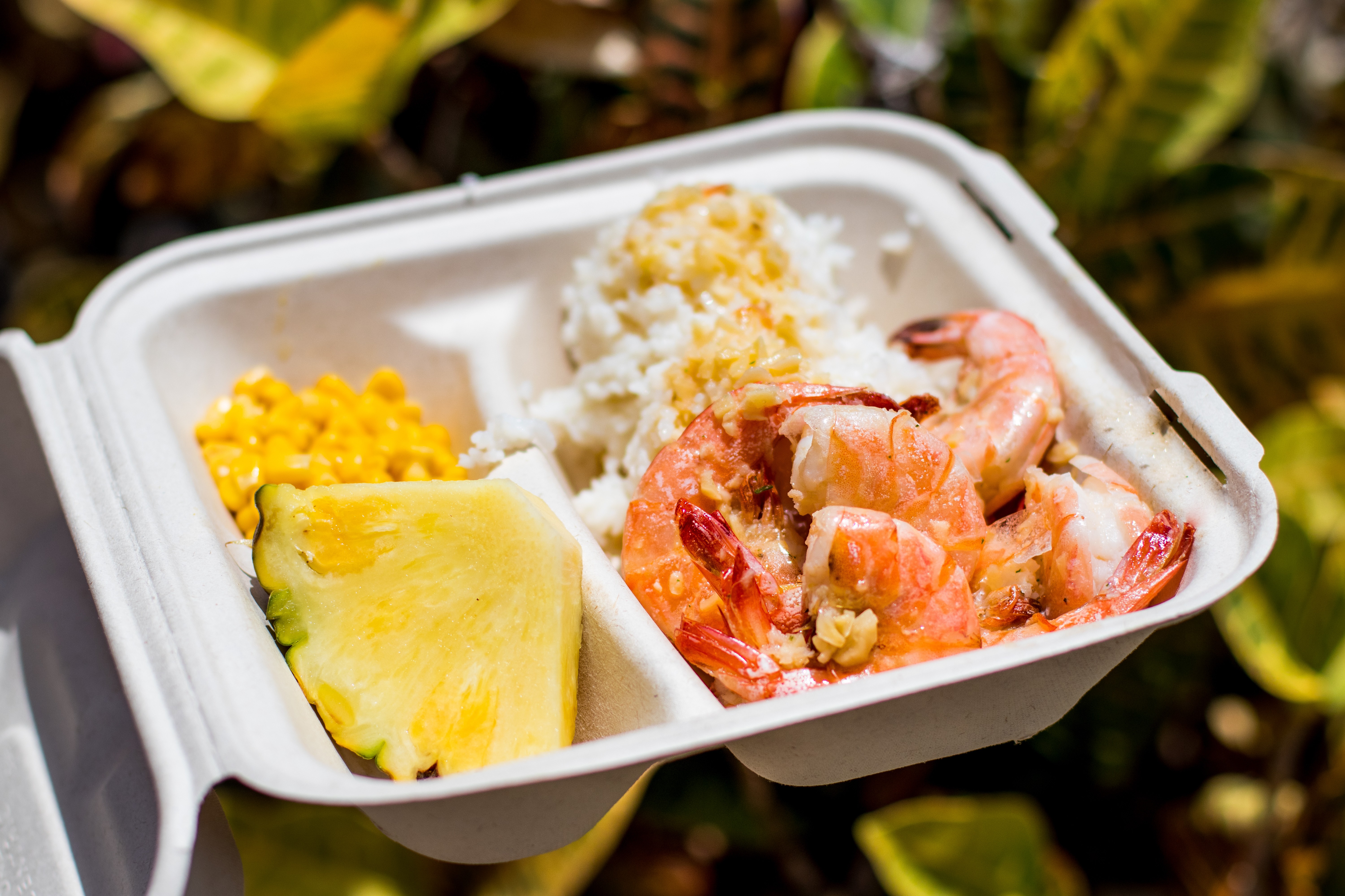 Oahu Island Tastes & Sights Bus Tour | Virgin Gifts