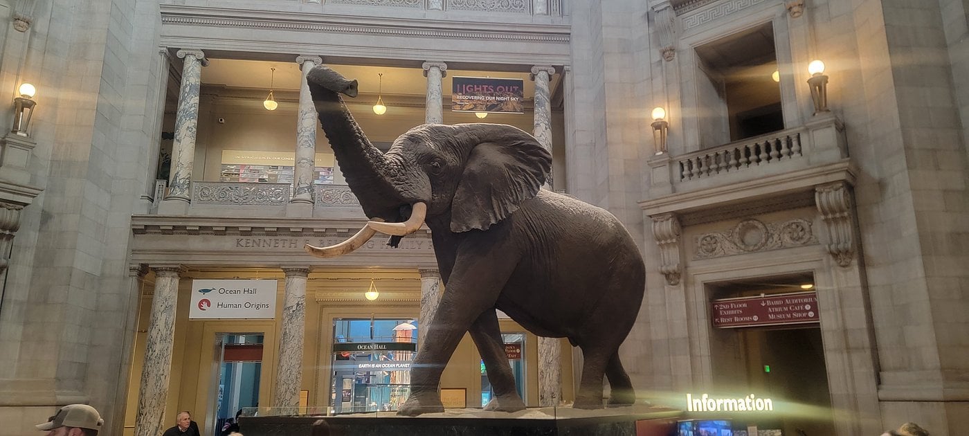 Smithsonian Natural History Plus Air and Space Museum Tour in ...