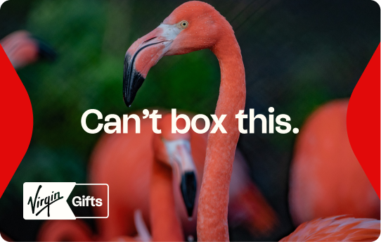 Experience eGift Cards - Unique Gift Certificates for Activities